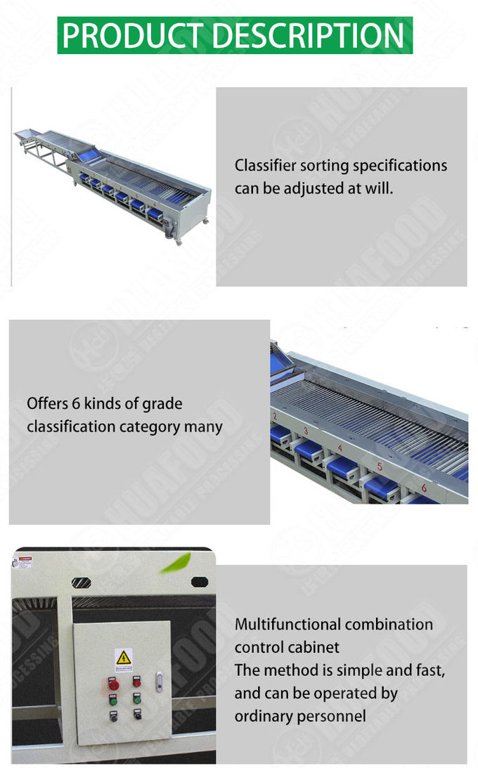 Mesin Sortasi Buah Dan Sayur 3TPH Mesin Grading Kentang Bawang Wortel