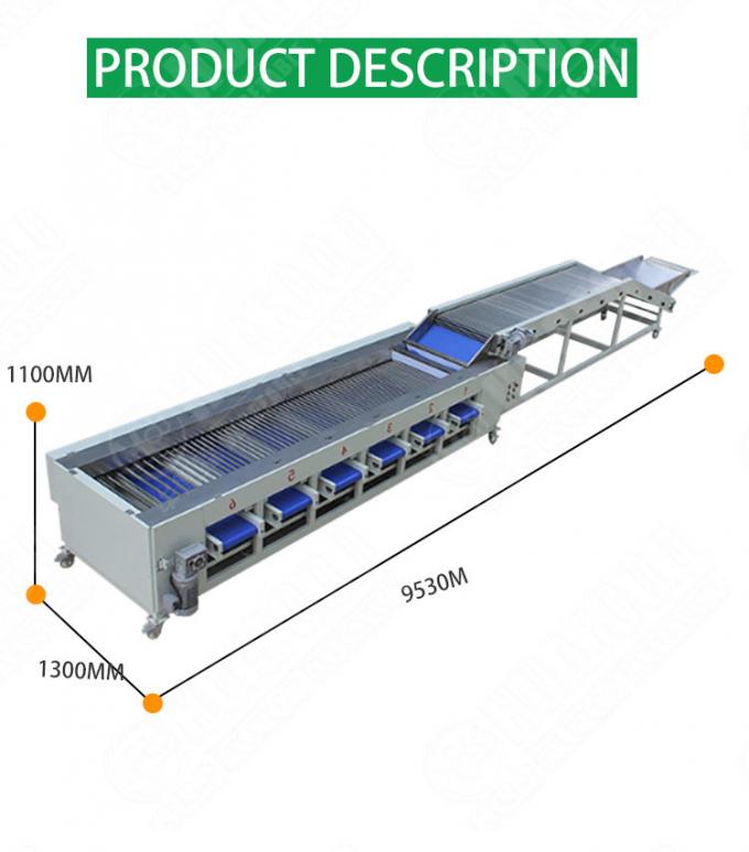 Mesin Sortasi Buah Dan Sayur 3TPH Mesin Grading Kentang Bawang Wortel